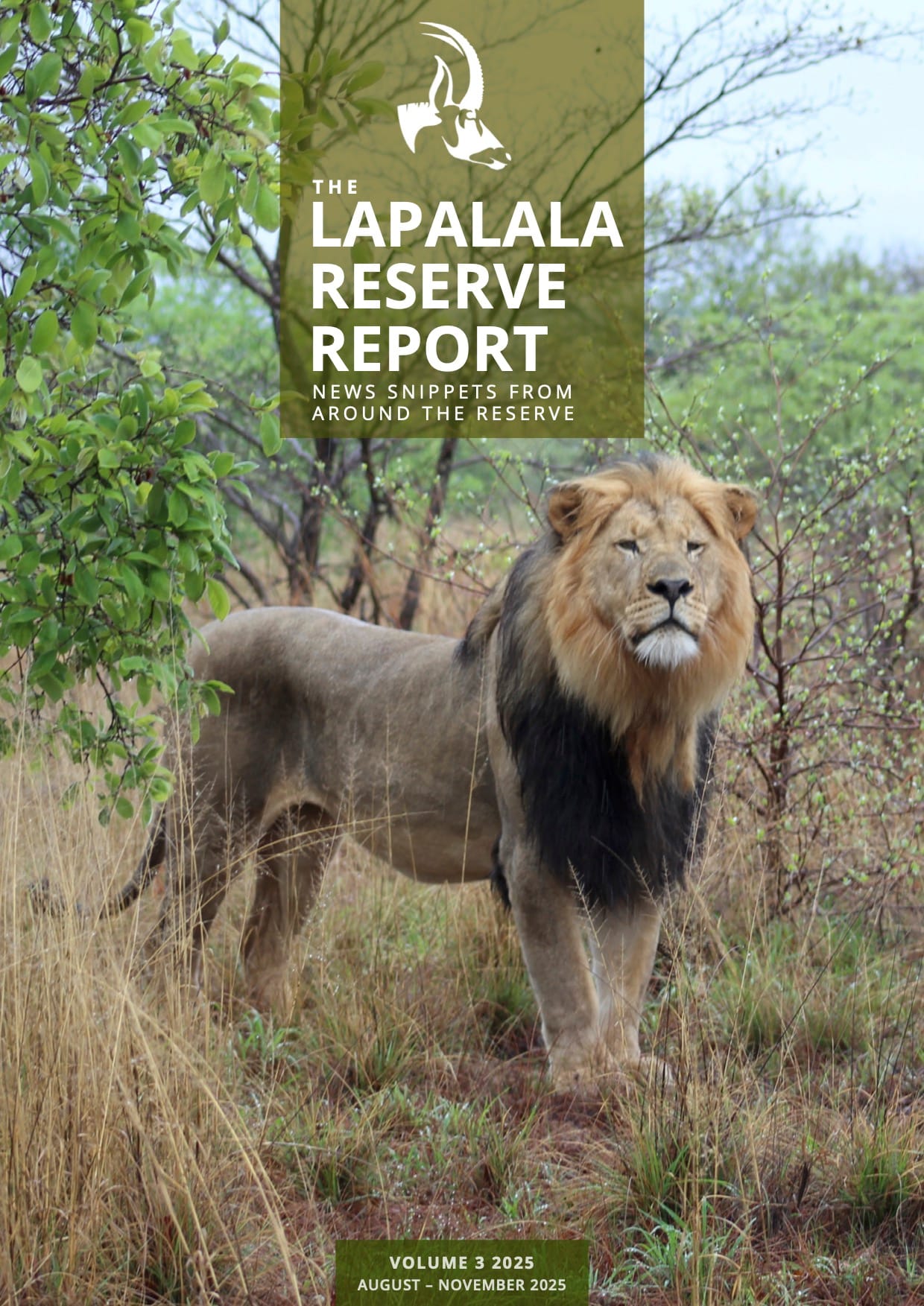 2025 Q3 | Lapalala