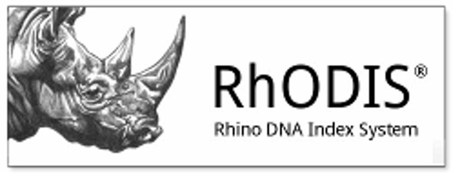 Rhodis | Lapalala